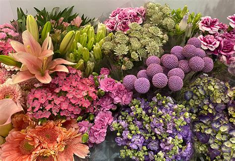 Global Cut Flowers Market To Hit Sales Of 479 Billion By 2030