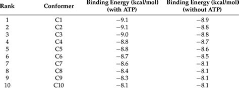 Molecular Docking Simulation Results Of Fmn In The Presence And Absence Download Scientific