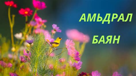 Монголын тал нутаг говь Монголын тал нутаг говь хангай