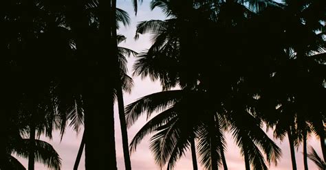 Lets Talk About Sex United Church Of God