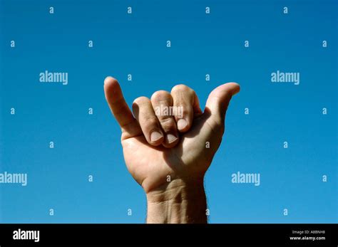Hawaiian Shaka Wallpaper