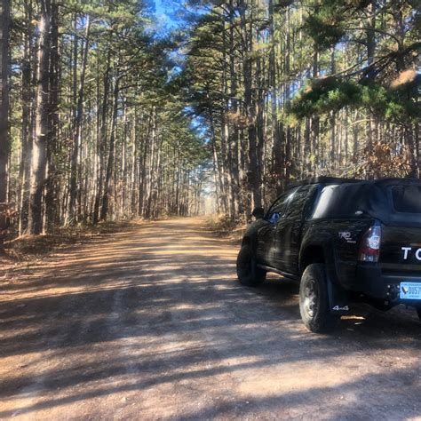 Backyard Dad Youtube