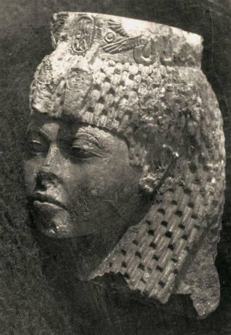 Head Of Queen Tiye Egypt Museum