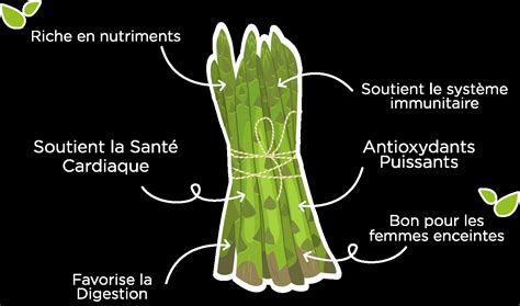 Asperges Cofruidoc