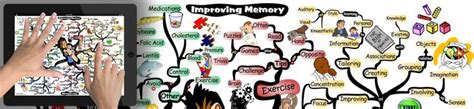 A Beginner S Guide For Improving Your Memory And Recall Improve