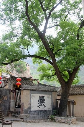 爨底下村大树 商业授权 红动网