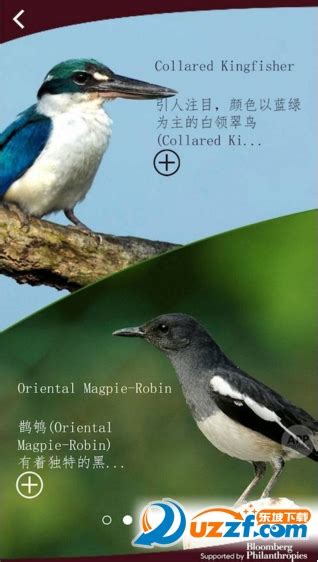 Gardens By The Bay 滨海湾花园 1 1 6 中文安卓版 东坡下载