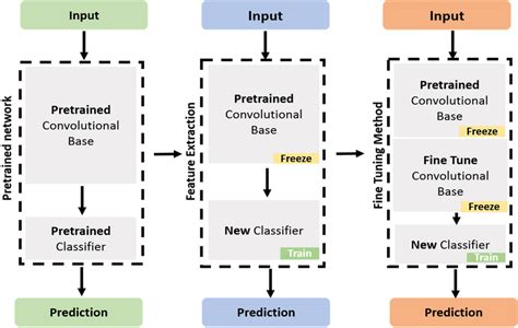 Concept Of Fine Tuning And Feature Extraction Download Scientific Diagram