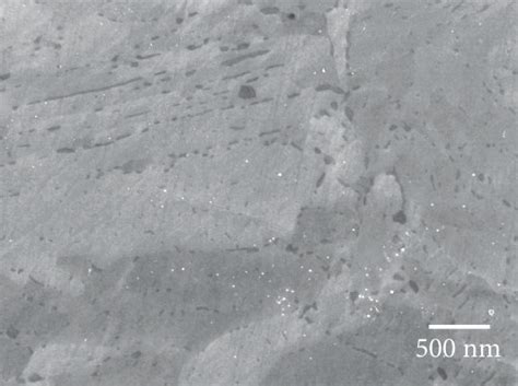 A Original Se And B Segmented Images From Sample M23 Segmentation Download Scientific