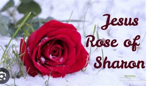 Charitoo Blessed Beyond Measure