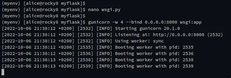 How To Install Flask With Nginx And Gunicorn On Rocky Linux Cộng Đồng