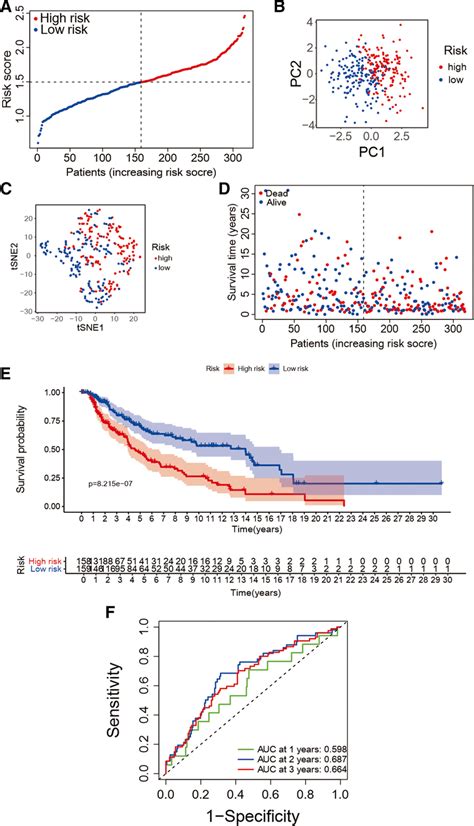 The 9 Gene Model In The Train Cohort Prognostic Analysis A The Risk