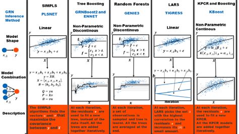 Regression Based Gene Regulatory Network Inference Algorithms