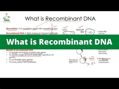 Recombinant Dna Grade 9 Understanding For Igcse Biology 5 Essential