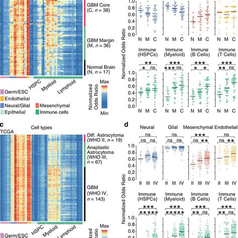 Cell Type Estimation Using Transcriptomes A Simplified Workflow Of