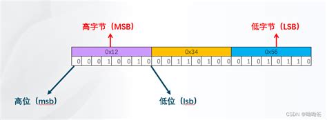 Can总线字节序与位序 Motorola And Intel格式can怎么操作字节 Csdn博客