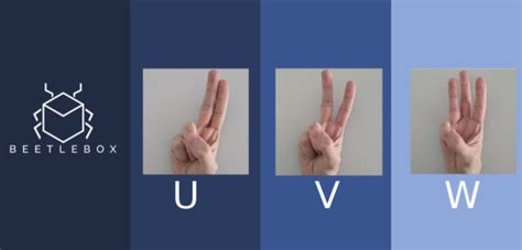 Vitis Ai Using Tensorflow And Keras Tutorial Part 1 Beetlebox