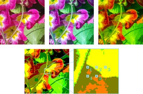 Digital Photograph Sampling Using Five Nodes And A Nine Color Red Green