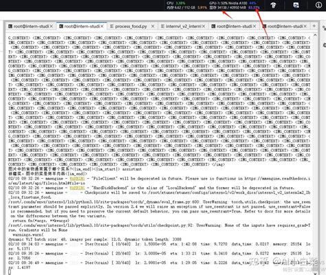 InternVL 部署微调实践 知乎