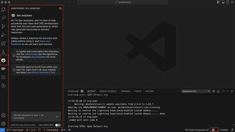 Agentforce For Developers Apex Hours