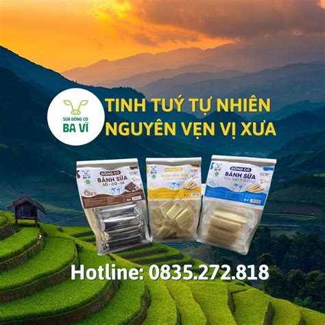 Bánh Sữa Ba Vì Đặc Sản Ba Vì Hà Nội Giá Bao Nhiêu Mua ở đâu