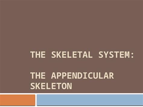 Pptx The Skeletal System The Appendicular Skeleton The Pectoral Girdle Shoulder 2 Pectoral