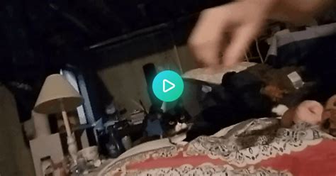 Scratch Scratch Scratch Album On Imgur