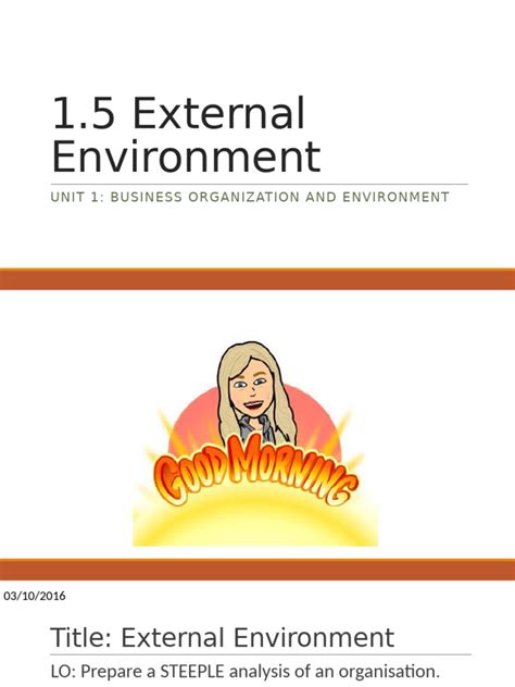 15 External Environment 1 Pdf