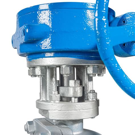 Gear Driven Floating Ball Valve