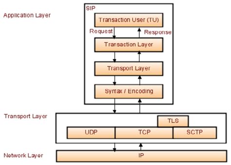 Layered Structure Of Sip Ding And Liu 2008 Download Scientific Diagram