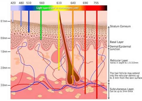 Blue Light Therapy For Acne Benefits Side Effects Treatments Devices Heliotherapy Research