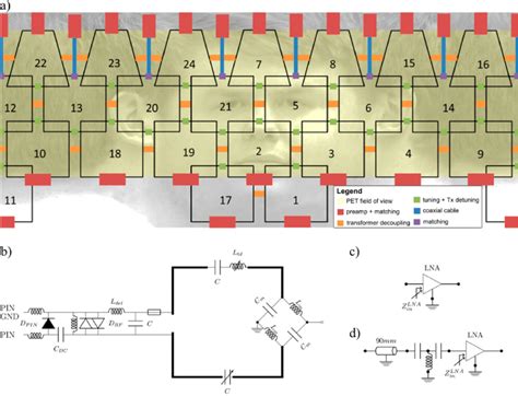 RF Coil Layout A Unrolled Layout Of The Channel RF Coil Array A Download Scientific