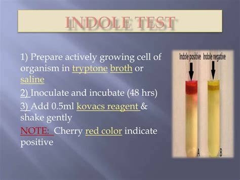 Biochemical Tests Ppt