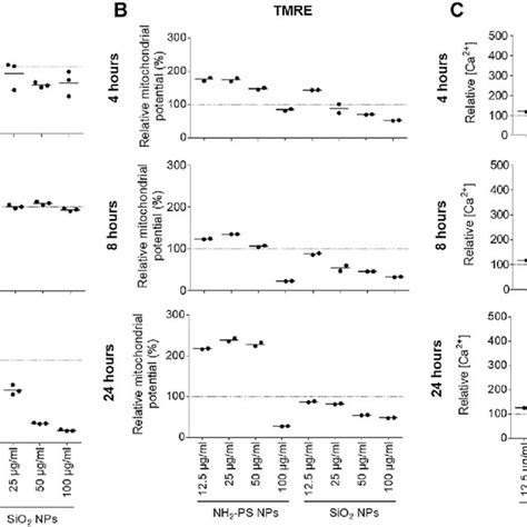 Effect Of Nh 2 Ps And Sio 2 Nanoparticles On Er Stress And Autophagy Download Scientific