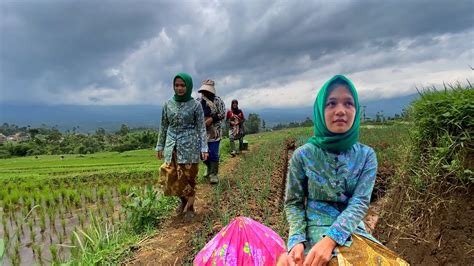 Bertemu Gadis Desa Cantik Di Sawah Pesona Gadis Garut Youtube