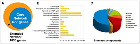 Overview Of Network Properties A We Distinguish Between A Core Download Scientific Diagram