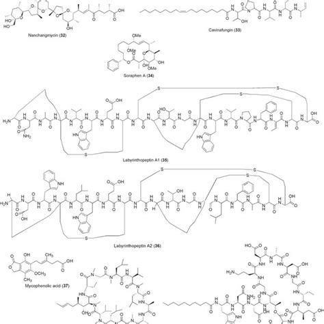 Chemical Structures Of Compounds 40 56 Antimycin A1a 40 Download Scientific Diagram