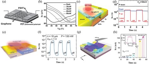 The Planar Polarization Field Based On Ct 2d Inorganicorganic
