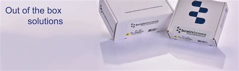 Brainboxes Connect Configure Control Ethernet Serial IO Brainboxes Industrial Ethernet