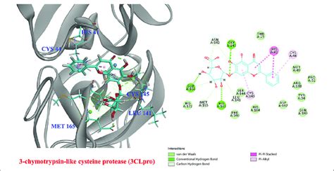 Molecular Docking Model Of Baicalin Binding To 3clpro The Left Panel