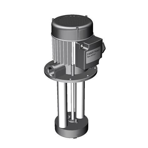 Asm Saber Pumps