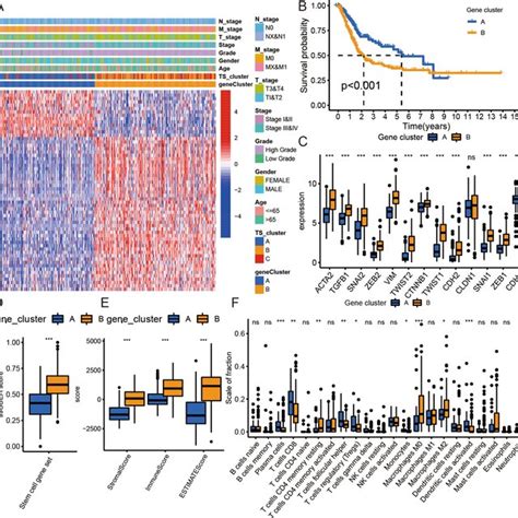Transcriptomic And Metabolic Characteristics Of The Ts Related Gene