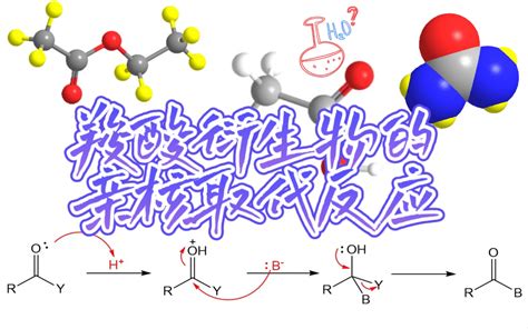 漫谈高中典型反应的机理羧酸衍生物的亲核取代反应 哔哩哔哩 bilibili