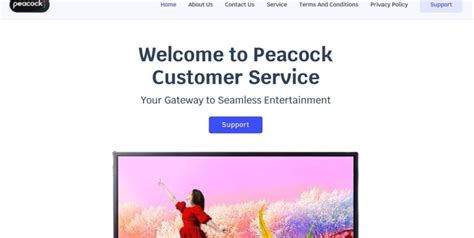 How To Fix Peacock Error Code PAS TechLatest