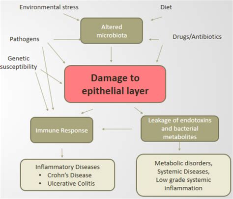 Gi Dysfunction Flashcards Quizlet