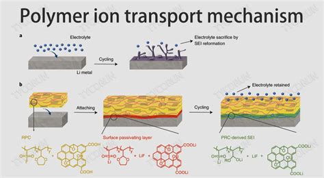 Solid Polymer Electrolyte Challenges And Solutions TYCORUN Battery Swap