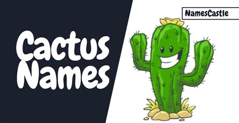 530 Names For Cactus Unique Creative Funny Cool And Catchy