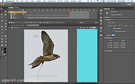 Animate A Bird Flying Adobe Animate CC Tutorial