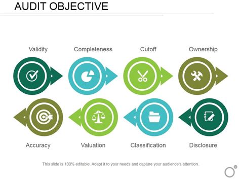 Audit Objective Ppt Powerpoint Presentation Layouts Slideshow