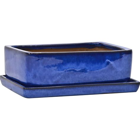 Gardeners Edge Glazed Bonsai Rectangle Pot Small Royal Blue Mitre10